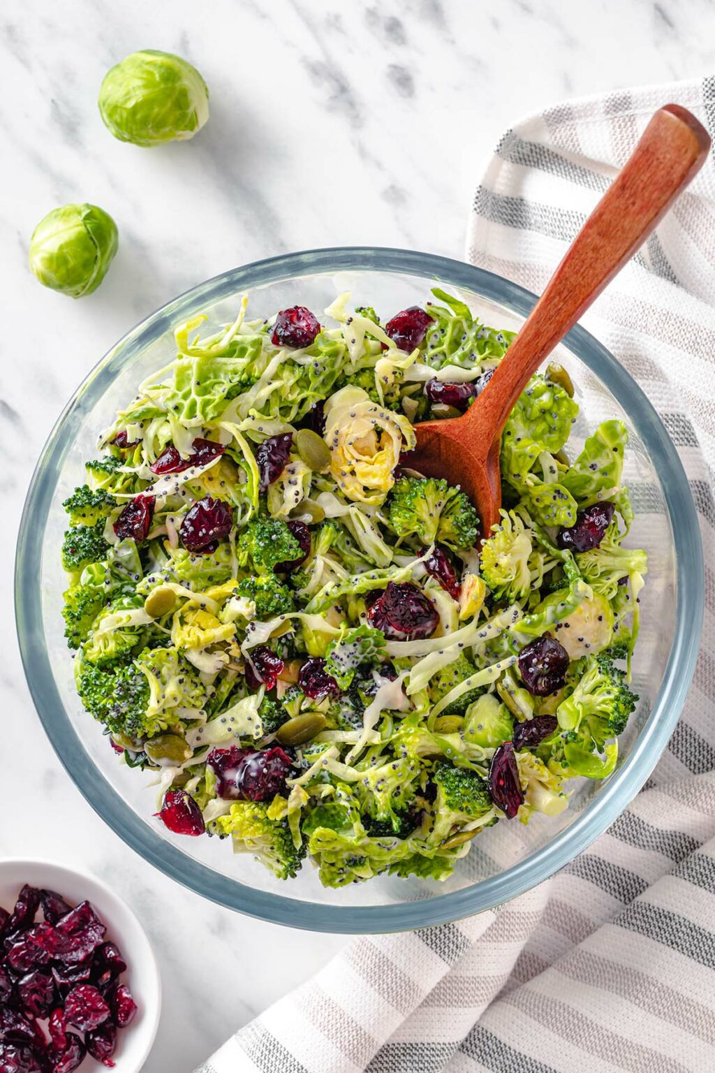 Broccoli Salad with Cranberries and Poppy Seed Dressing
