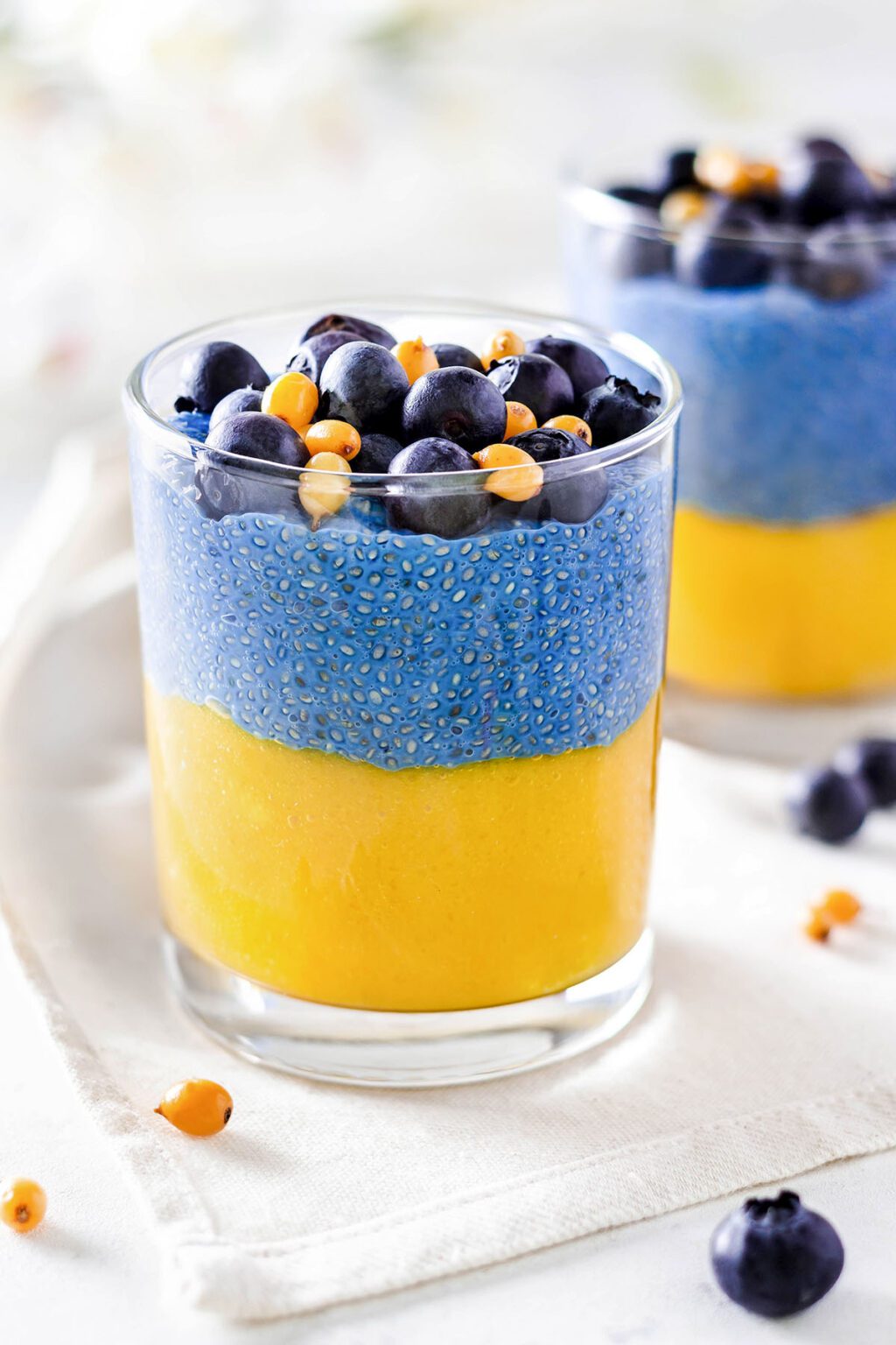 Blue Chia Pudding with Mango